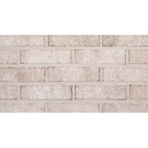 Birch - Thomas Brick